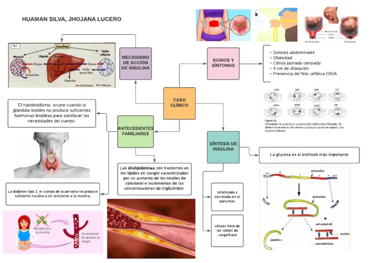 annotated-FUNCI%C3%93N%20RENAL_Huaman.pdf | PDF