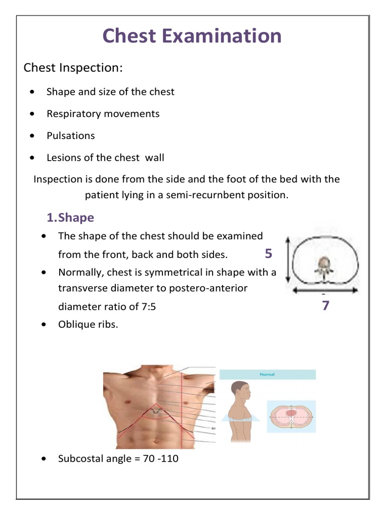 Chest Examination and Litten's Sign | PDF