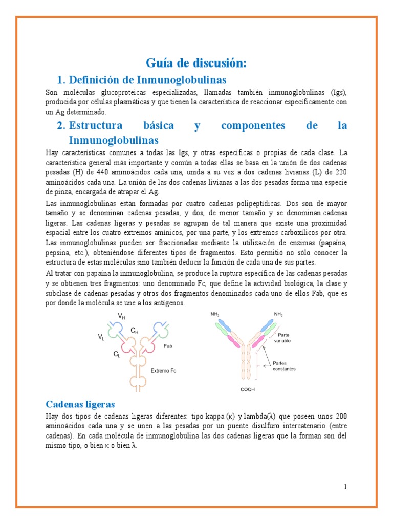 Guia de Discusión 4 | PDF