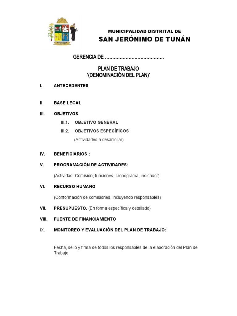 Estructura de Un Plan de Trabajo | PDF