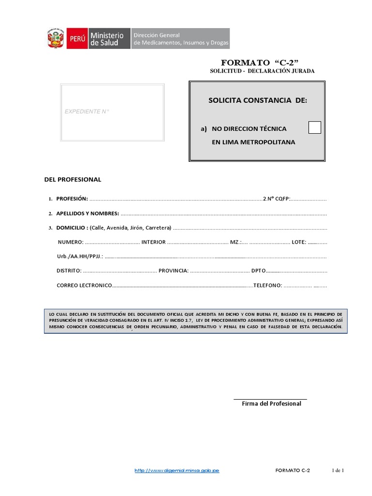 Formato C-2 PDF | PDF | Tecnología