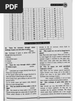 Cattle Respiratory System Overview | PDF | Lung | Respiratory Tract