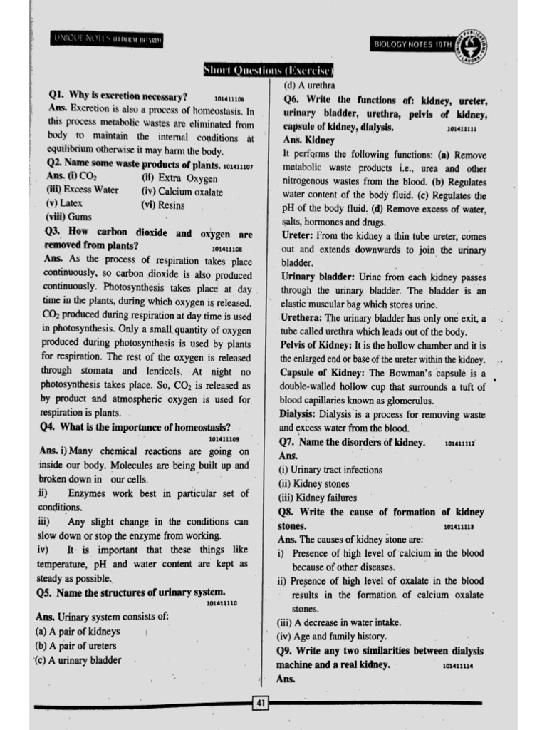 Bio 10th Chapter 11 solution | PDF