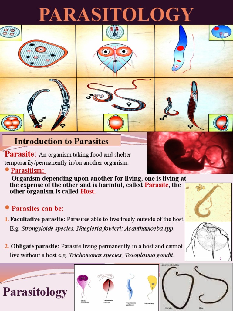 parasitology.pptx | PDF
