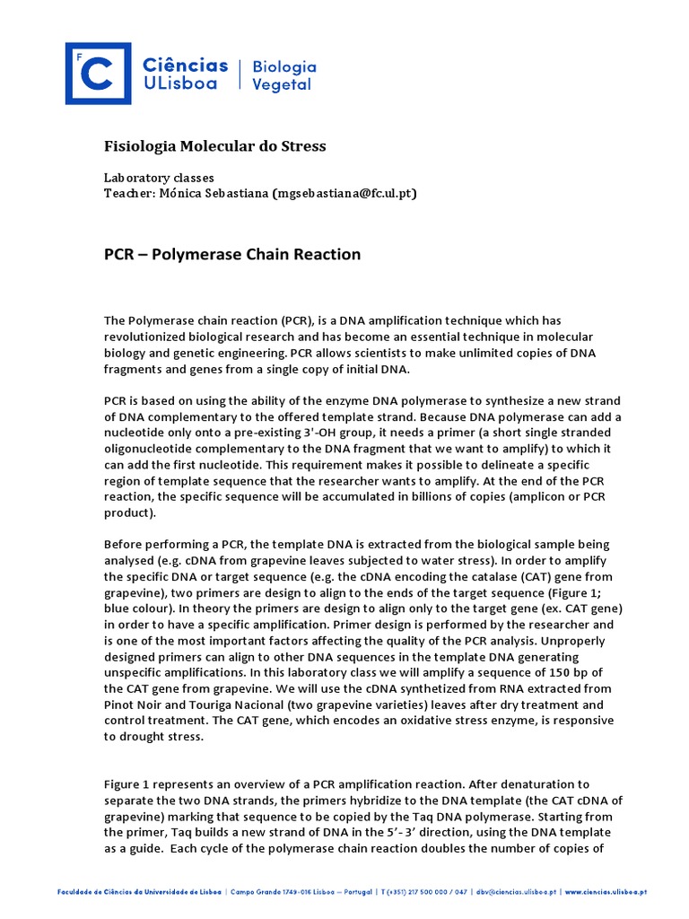 PCR and Agarose Gel Electrophoresis | PDF