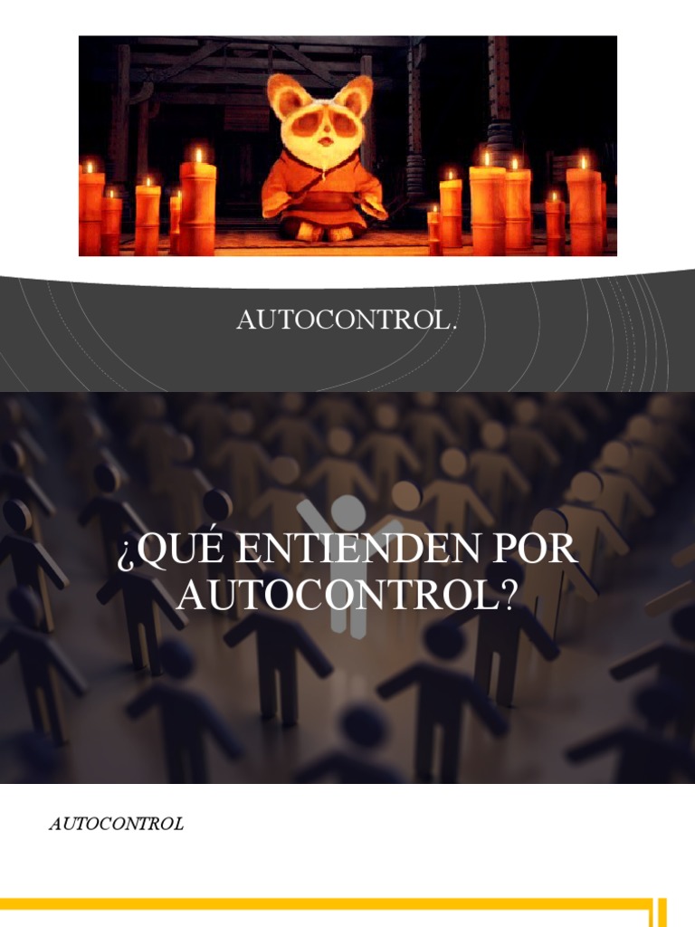 Autocontrol | PDF