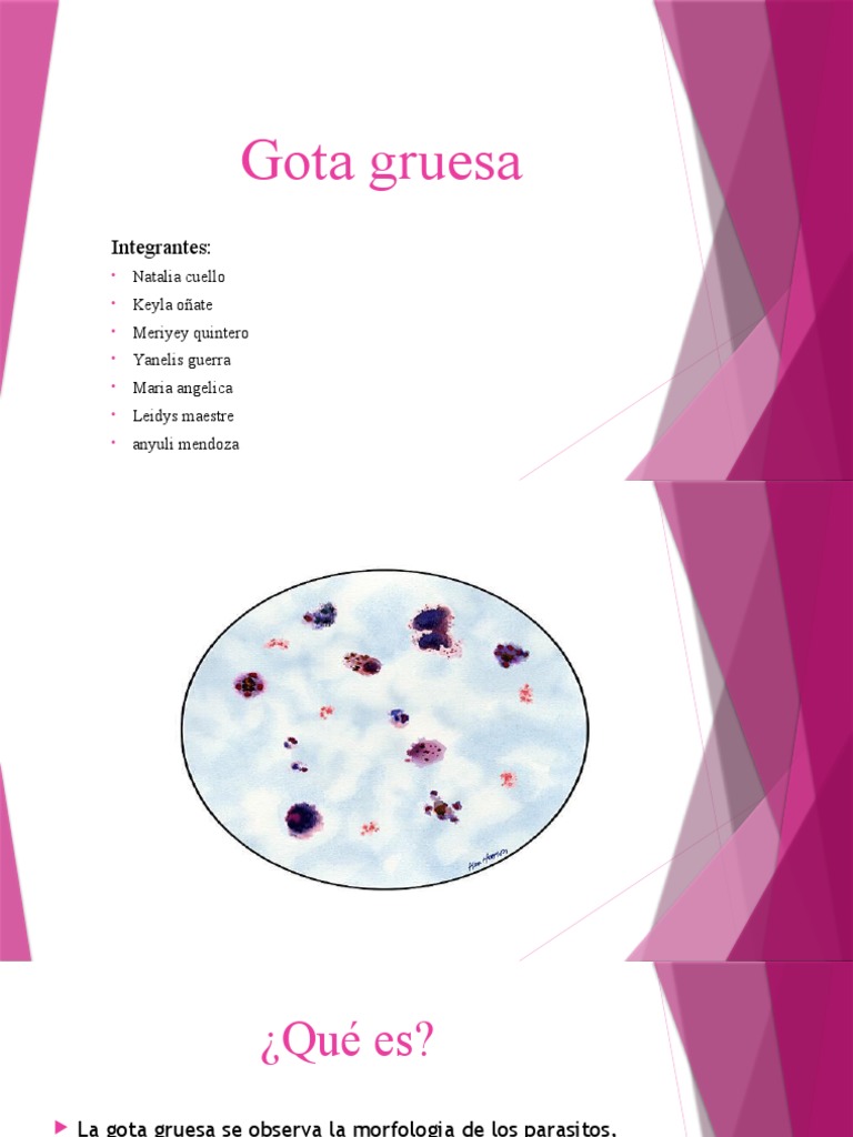 Gota Gruesa | PDF