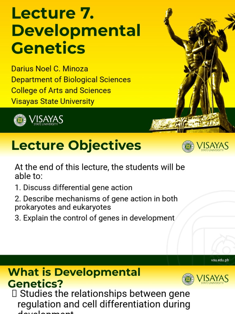 Lecture 7. Developmental Genetics | PDF | Developmental Biology | Gene