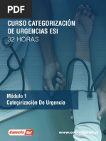 Plataforma Mordedores Midas | PDF | Finanzas y administración del ...