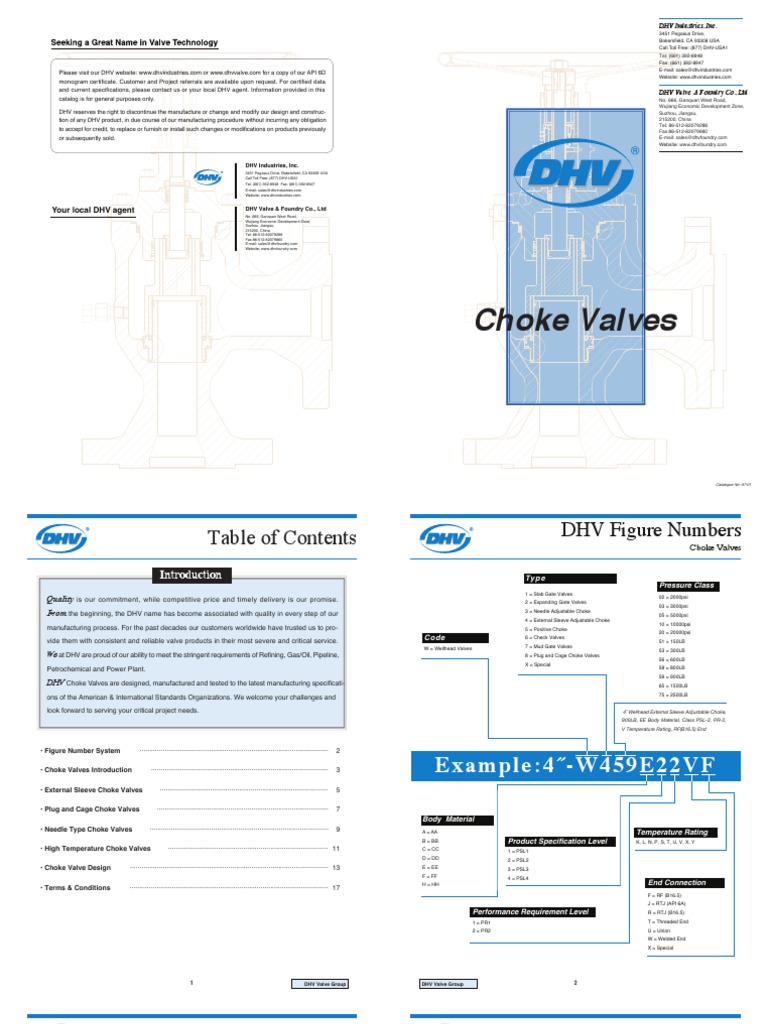 DHV Choke Valves Catalogue Overview | PDF | Valve | Steel