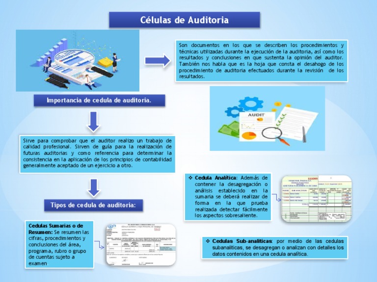 Cedulas de La Auditoria | PDF | Tecnología