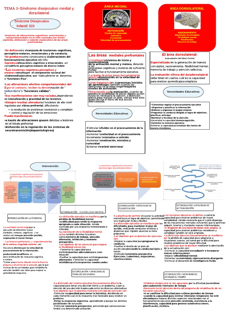 Mapa TEMA 2-Síndrome Disejecutivo Medial y Dorsolateral PDF | PDF