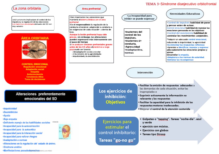 MAPA Tema 3 - Síndrome Disejecutivo Orbitofrontal PDF | PDF | Las emociones | Sicología