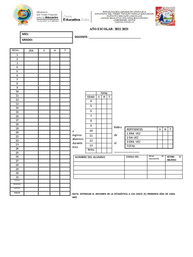 Formato de Estadistica Mensual | PDF