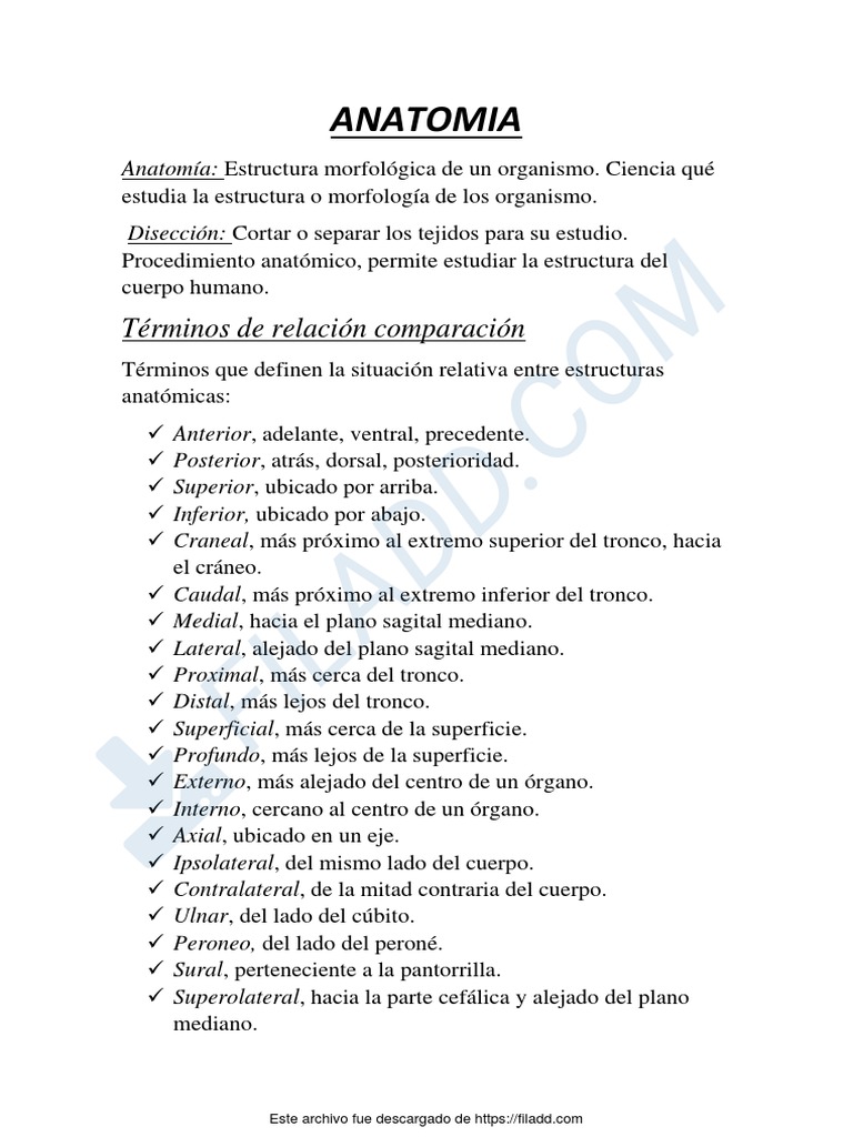 Generalidades Anatomia PDF | PDF