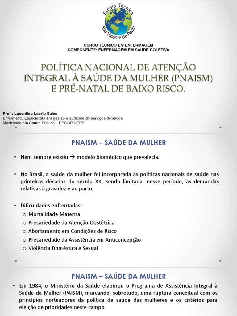 Pnaism E Pré Natal De Baixo Risco Pdf Pdf