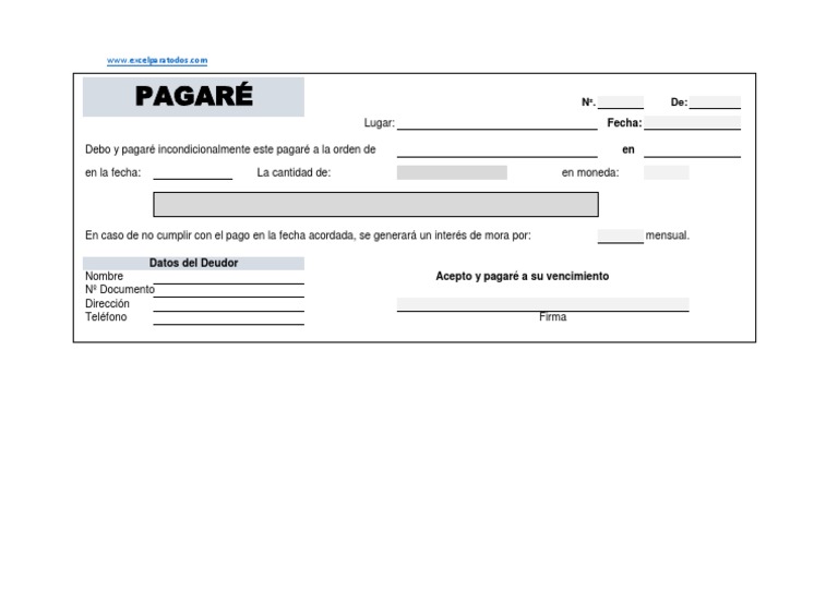 Formato de Pagare PDF | PDF