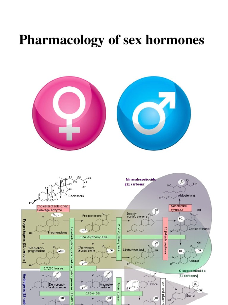 Sex Hormones - 2023 PDF | PDF | Androgen | Estrogen
