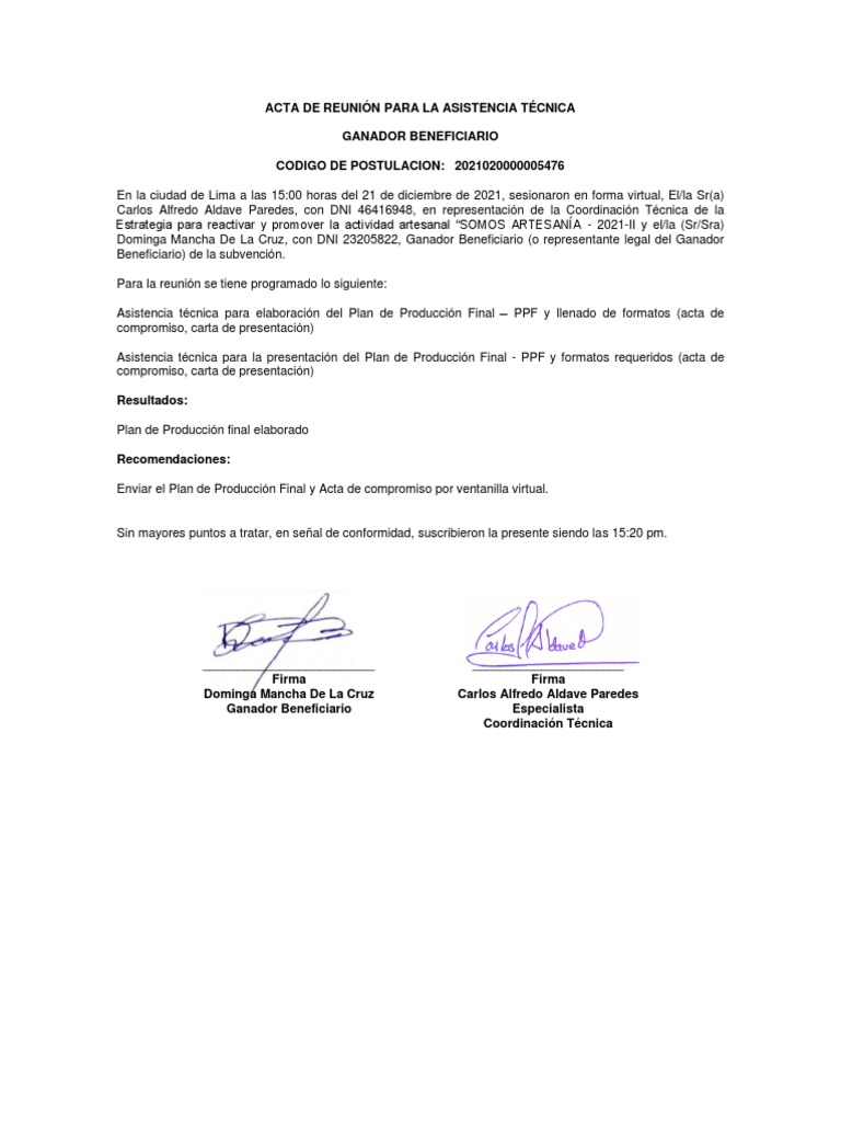 Acta de Reunión para La Asistencia Técnica Mancha PDF | PDF