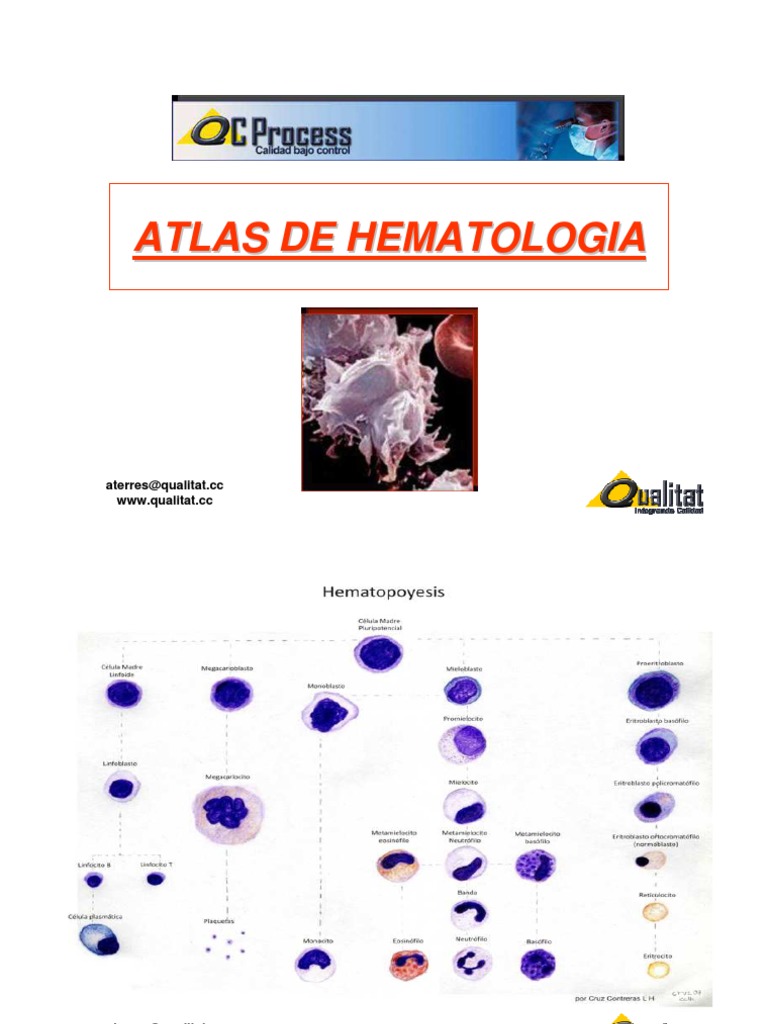 ATLAS_DE_HEMATOLOGIA_ATLAS_DE_HEMATOLOGI.pdf | PDF