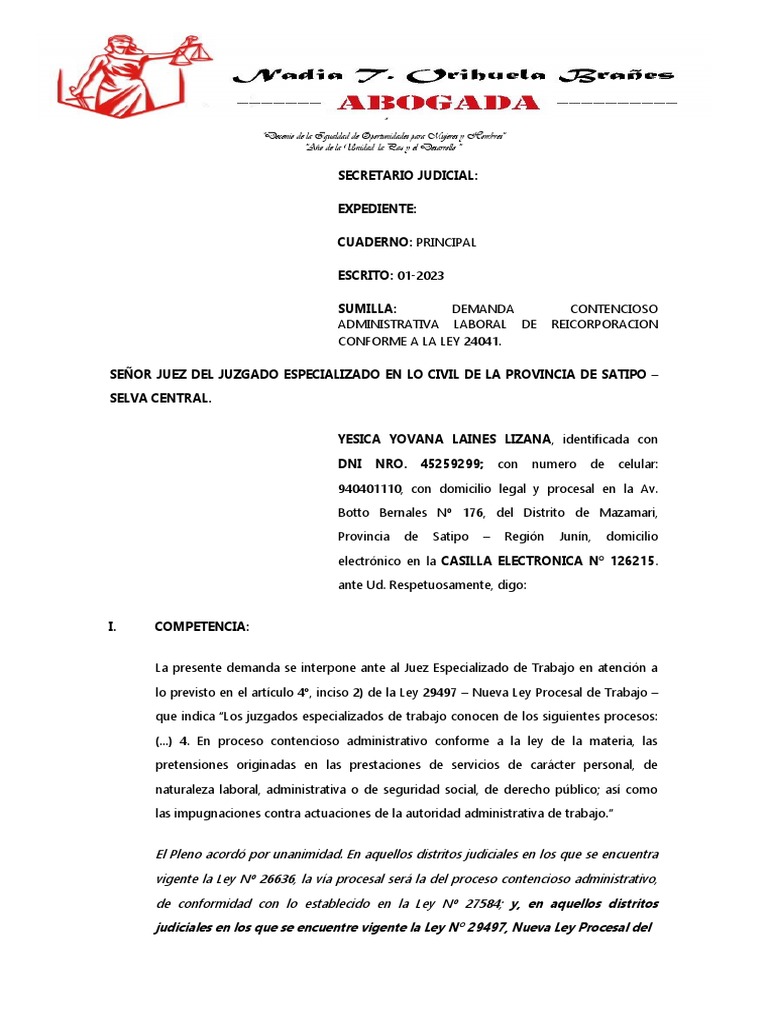 Demanda de Reconocimiento Ley 24041 PDF | PDF