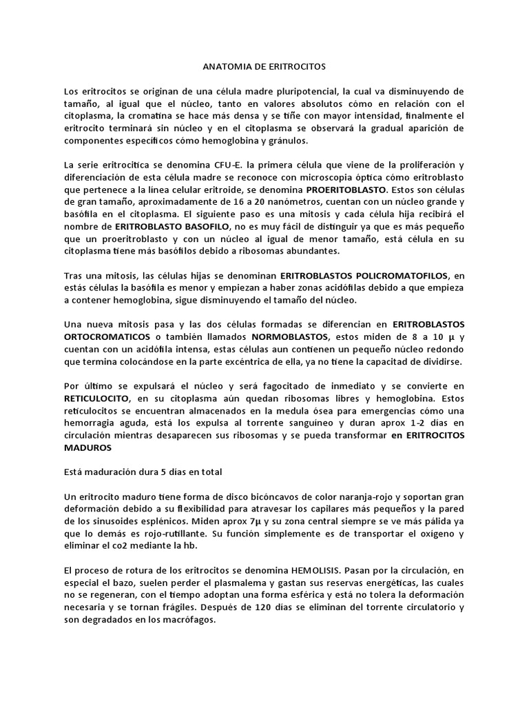 Anatomia De Eritrocitos Pdf