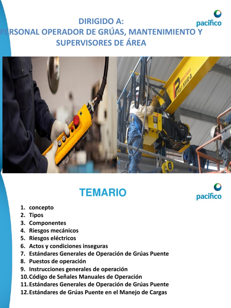 Capacitacion PUENTE GRUA PDF | PDF