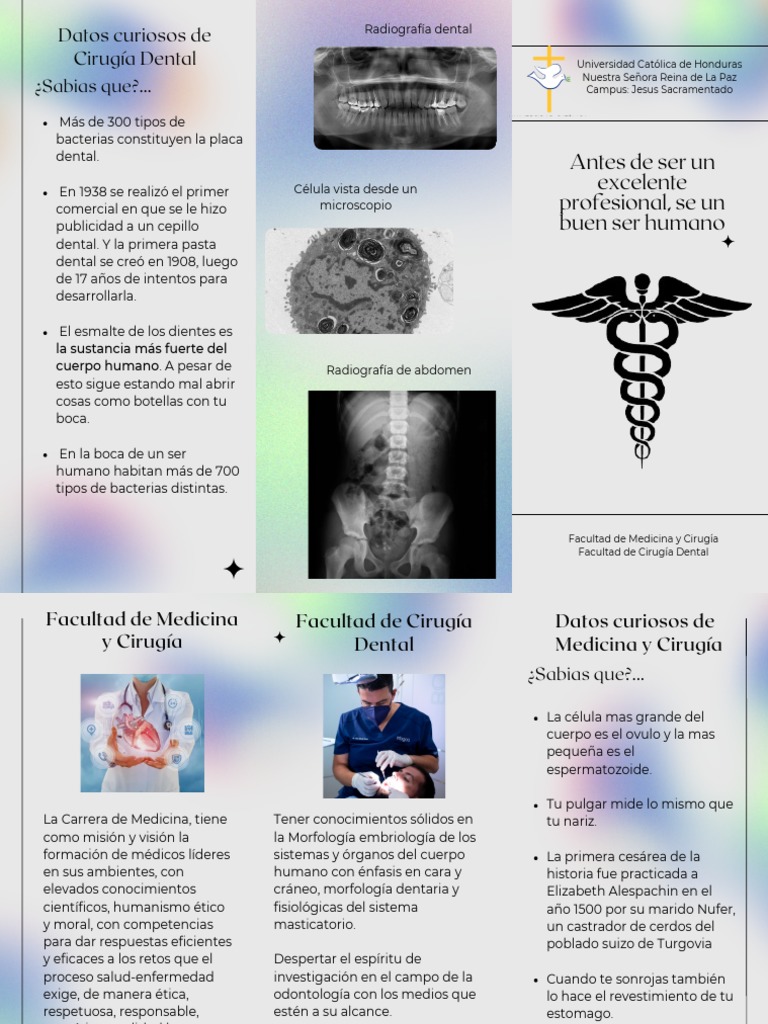 Triptico de Med y Odonto PDF | PDF