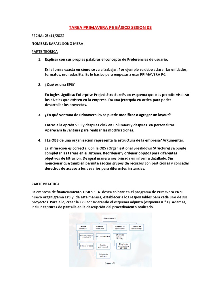 Tarea - Primavera P6 - Bas - S3 - Sono Mera PDF | PDF