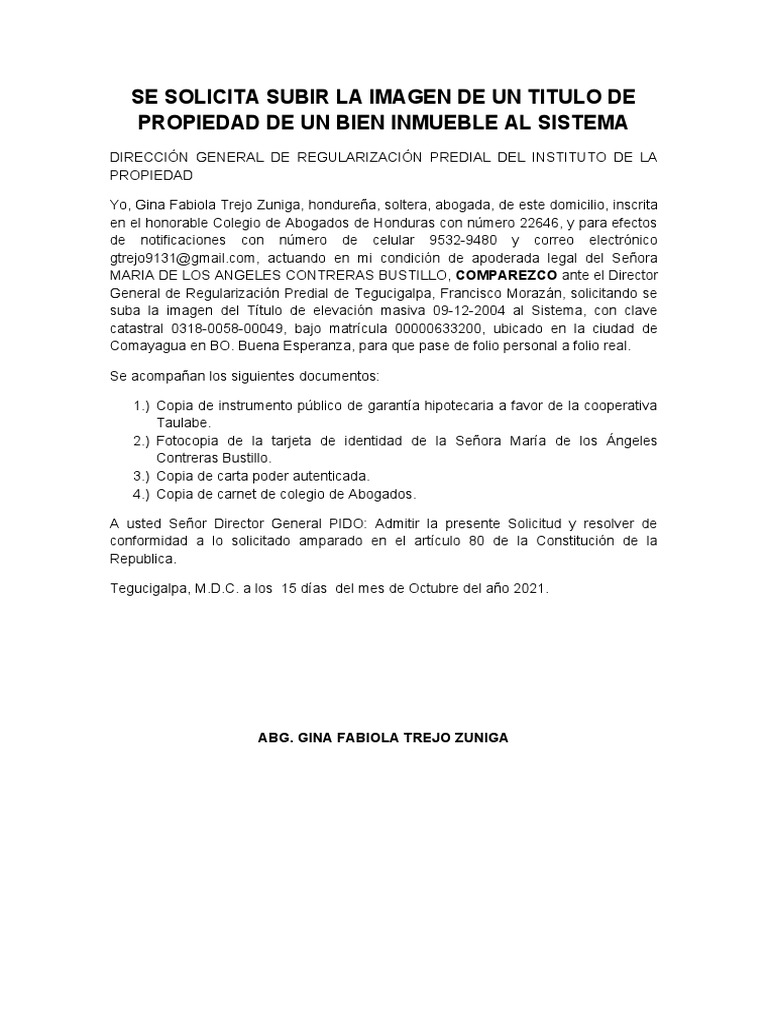 Solicitud IP Maria de Los Angeles | PDF