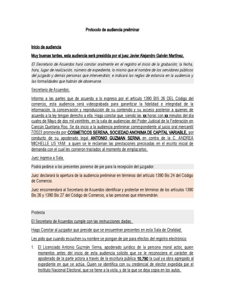 Protocolo de audiencia preliminar.docx | PDF