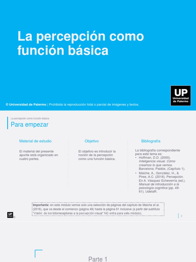 QWERTYUIOP | PDF | Percepción | Experiencia