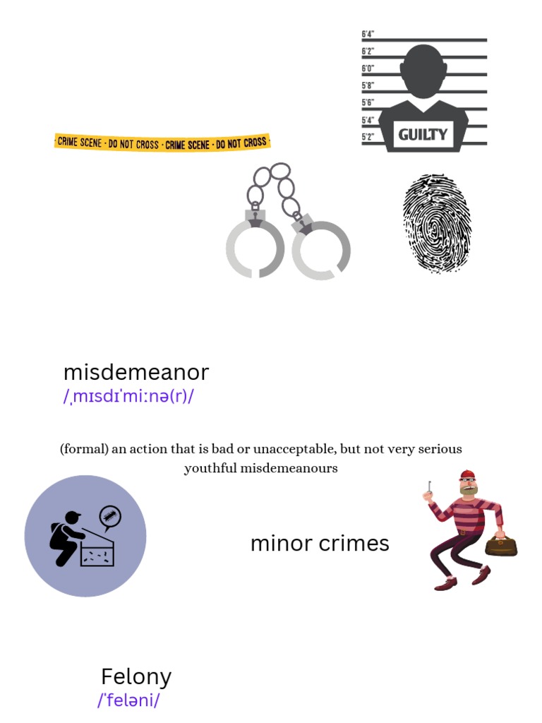 Crime and Criminal Vocabulary Guide | PDF
