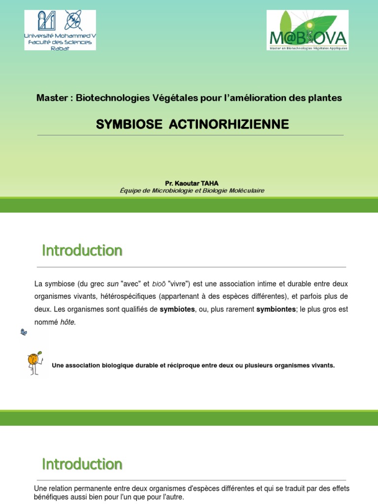 Symbiose ACTINO PDF | PDF | Racine | Organismes