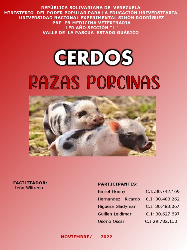 CERDOS | PDF | Cerdo | Carne