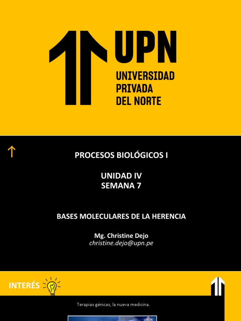 Semana 7 - Teoria PB1 WA PDF | PDF | Rna | Adn