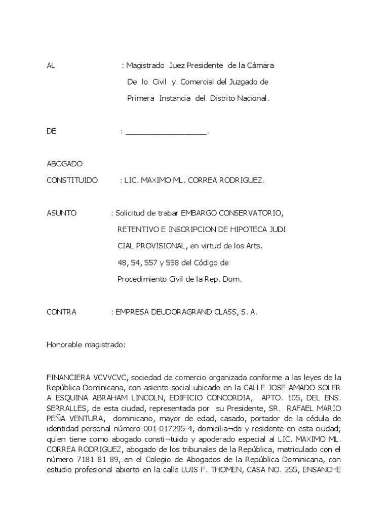 Solicitud de Embargo Judicial Provisional | PDF | Justicia | Crimen y ...