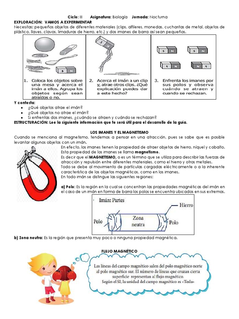 Fisica 5 PDF | PDF | Imán | Magnetismo