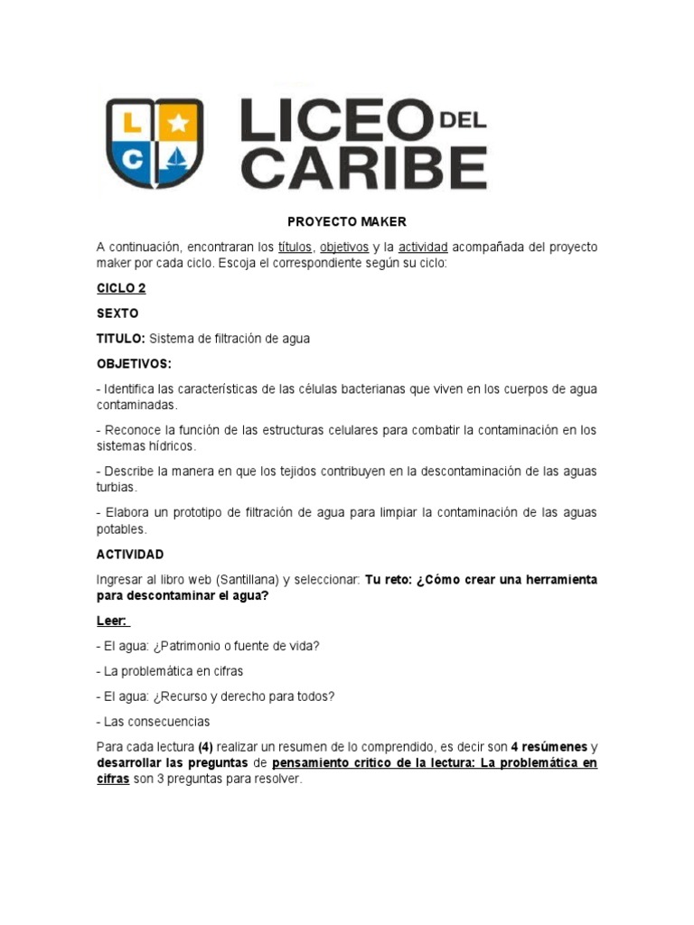 PROYECTO MAKER 6 A 11 2P | PDF