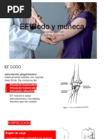 Exploración de Codo | PDF | Codo | Articulación