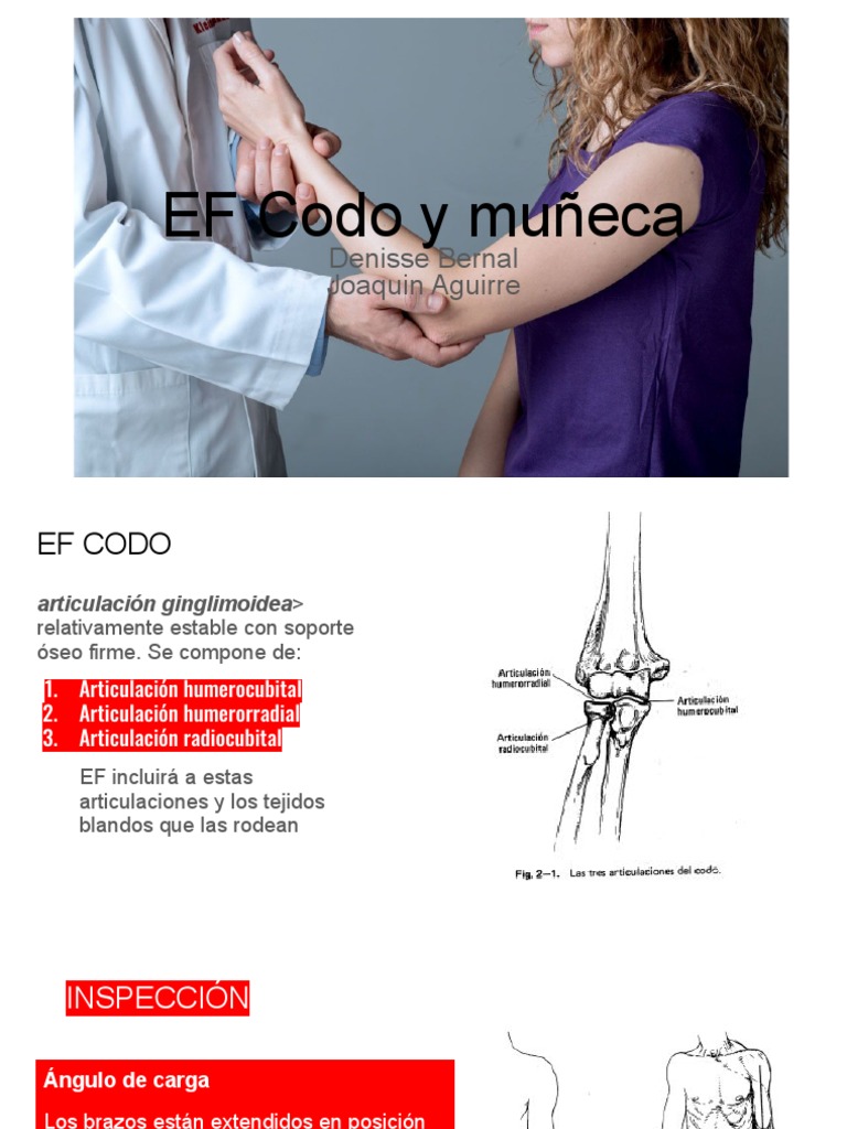 Evaluación del Codo y Muñeca | PDF | Codo | Sistema musculoesquelético