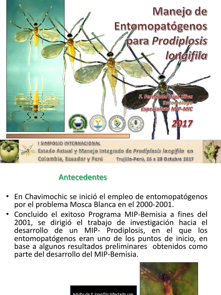 Prodiplosis - Entomopatogenos-FDiaz | PDF