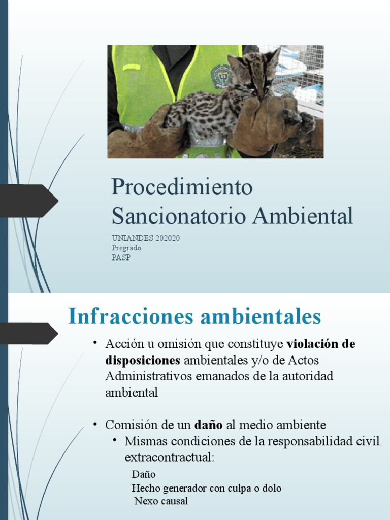 Proceso Sancionatorio | PDF | Multa (pena) | Justicia