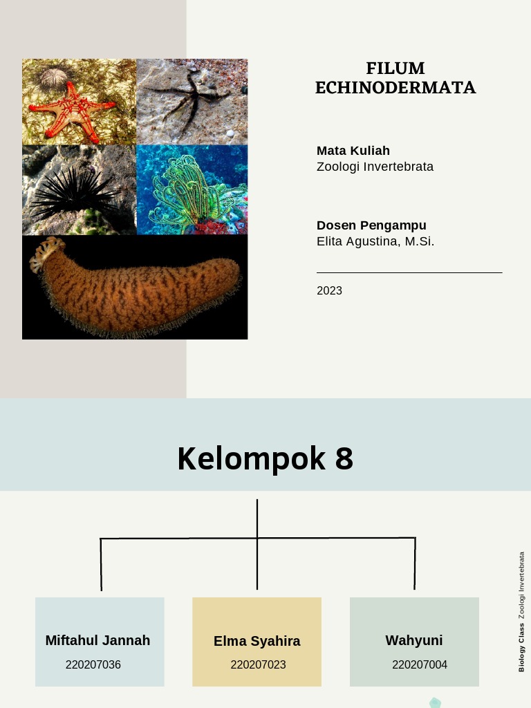 KLPK 8 Filum Echinodermata | PDF | Sains & Matematika