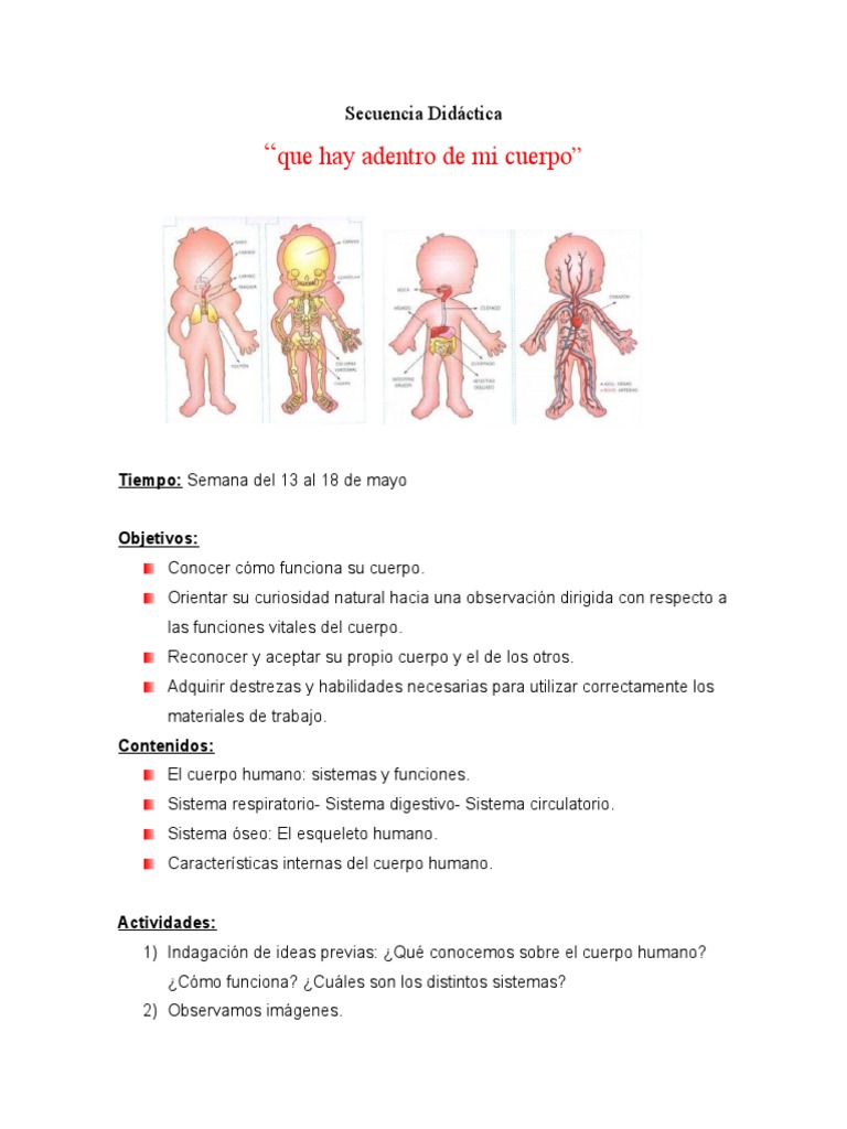 S D Sistemas Del Cuerpo | PDF