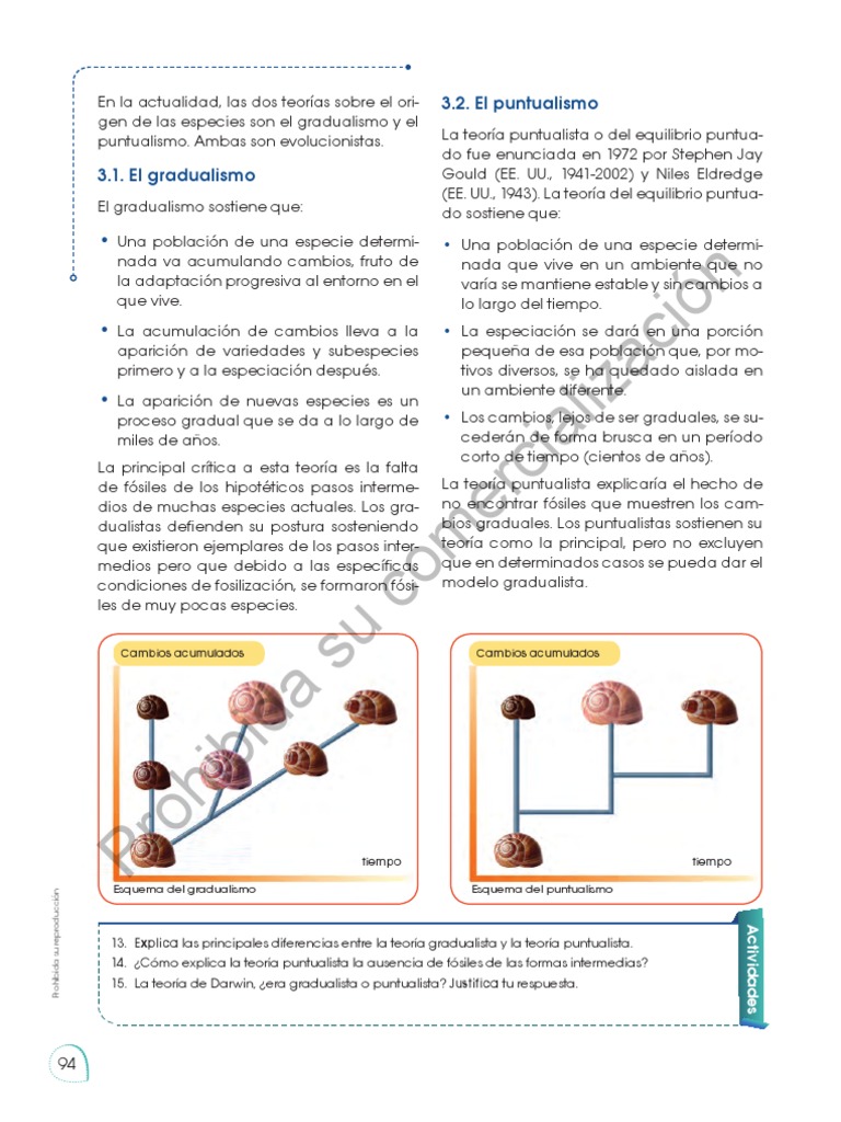 talle puntualismo gradualismo | PDF | Evolución | Naturaleza