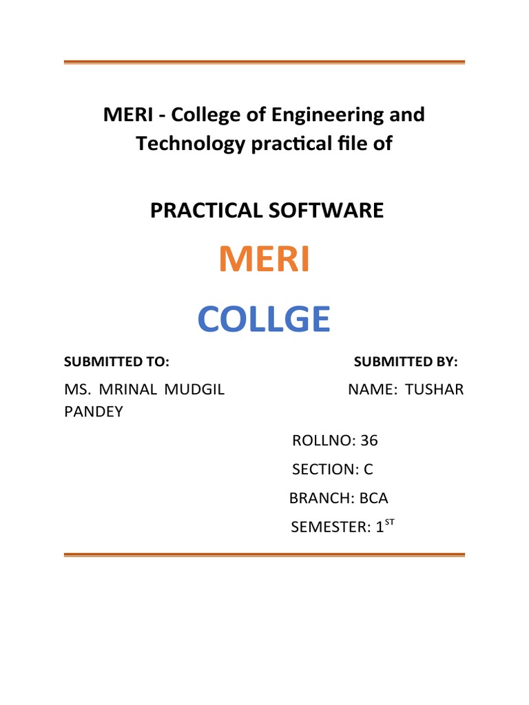 Meri PC Software Practicle File | PDF | Microsoft Word | Microsoft Excel