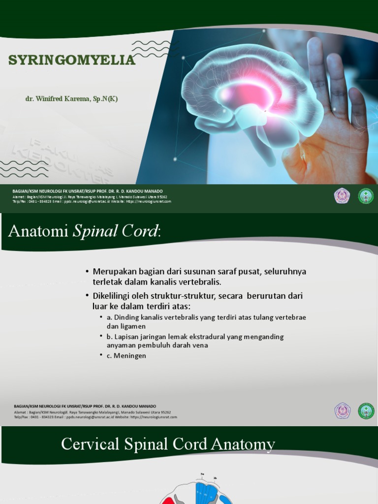 Syringomielia | PDF | Sains & Matematika