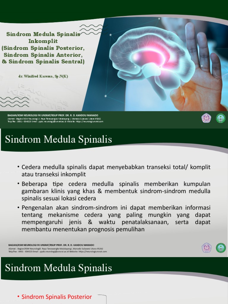 Sindrom Medula Spinalis | PDF