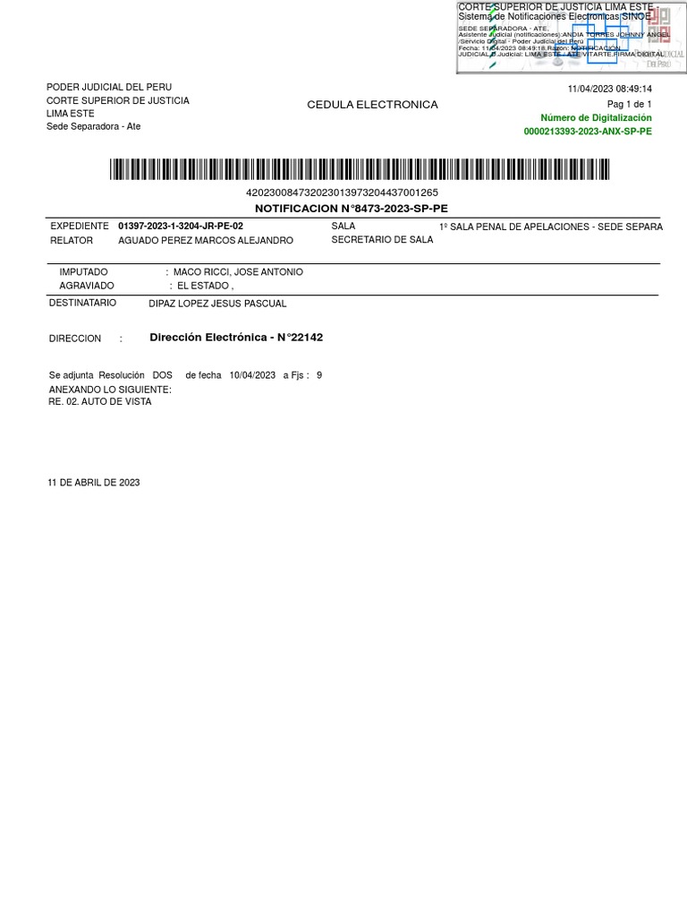 Exp. 01397-2023-1-3204-JR-PE-02 - Consolidado - 08473-2023 PDF | PDF